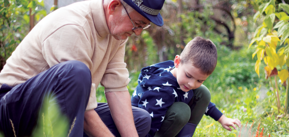 Summary of Intergenerational programs | ECA Learning Hub